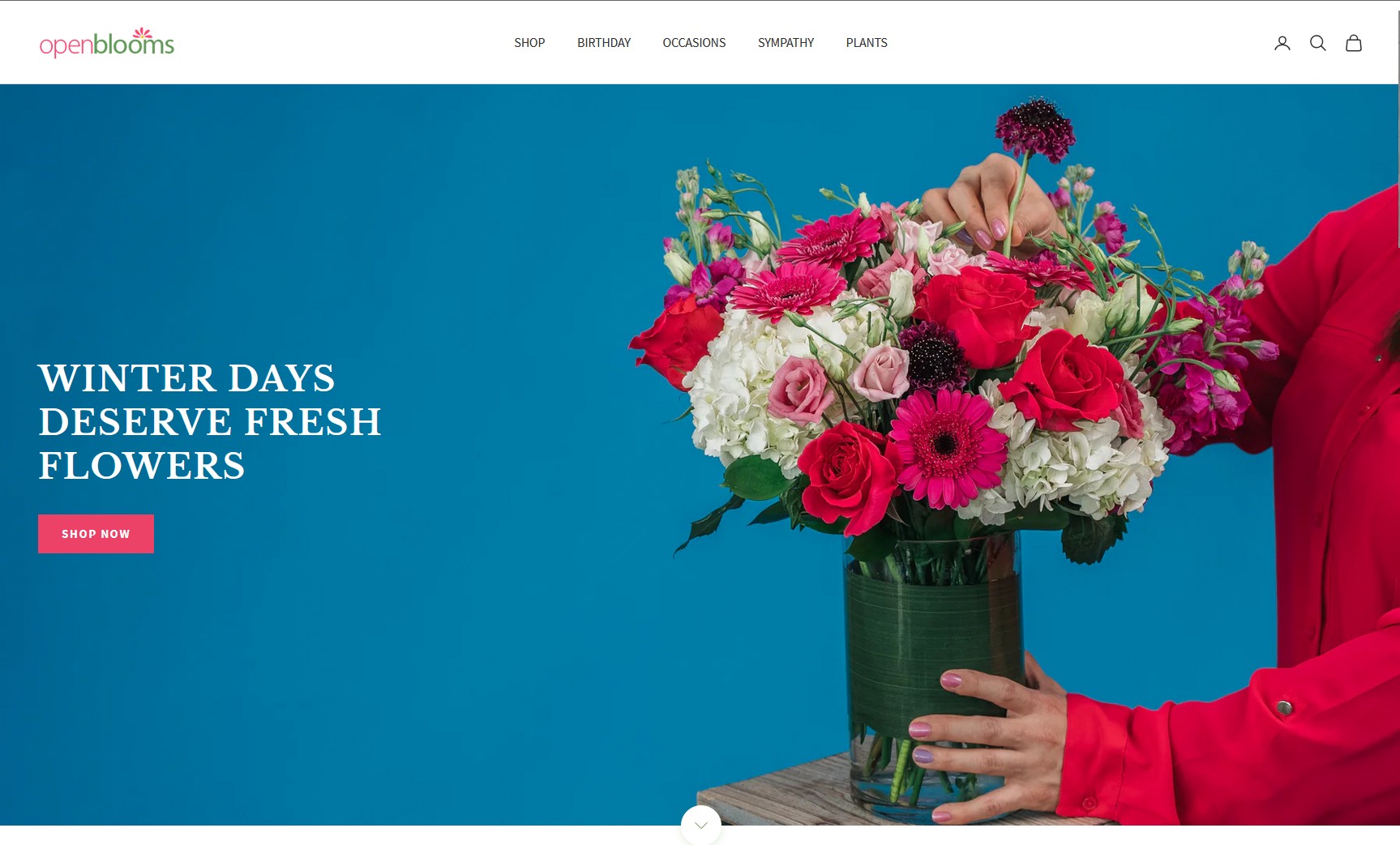 Jonathan Bartholomew | Full Stack Developer